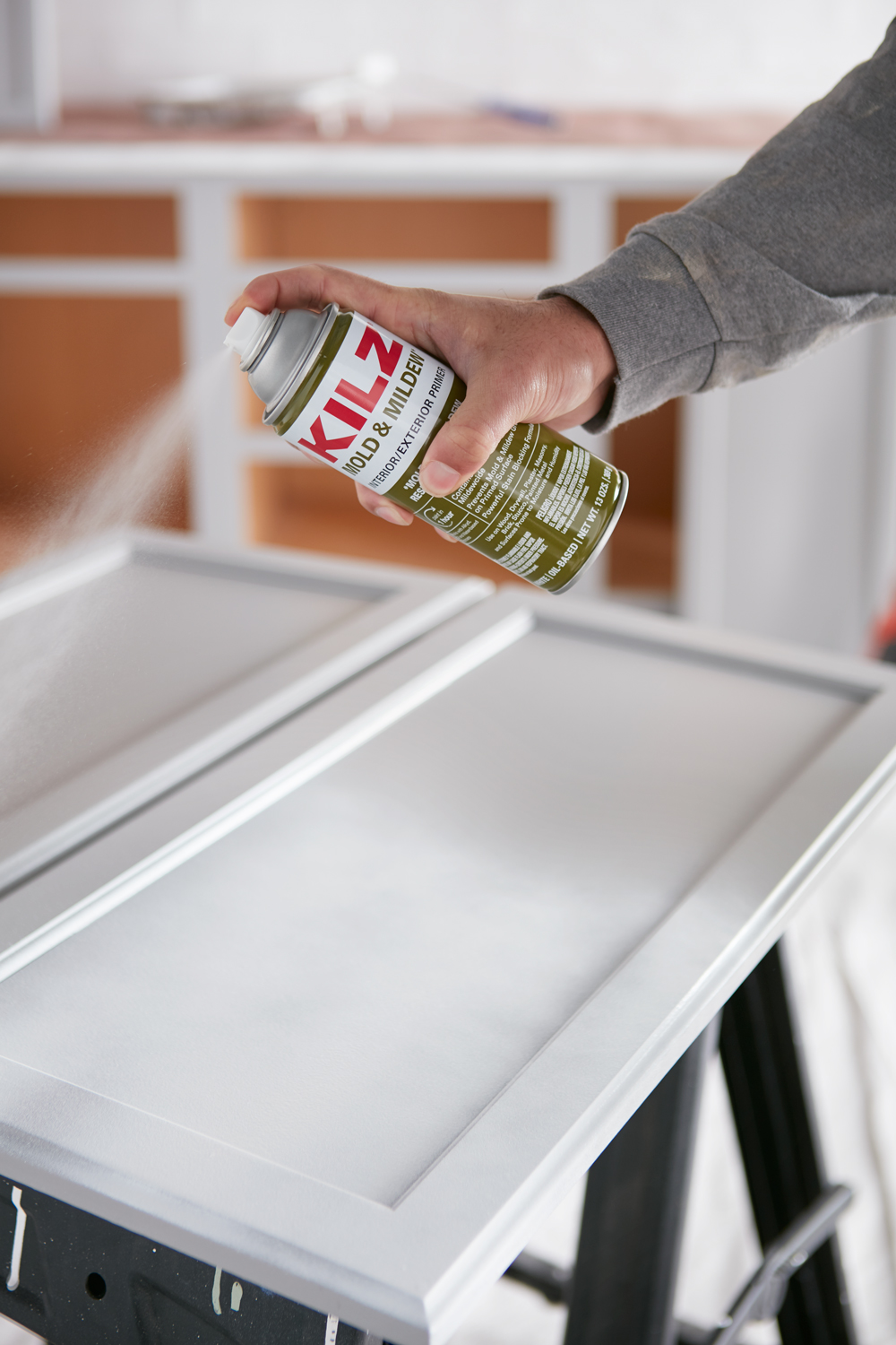 KILZ Mold and Mildew Articles - The Perfect Finish Blog by KILZ®