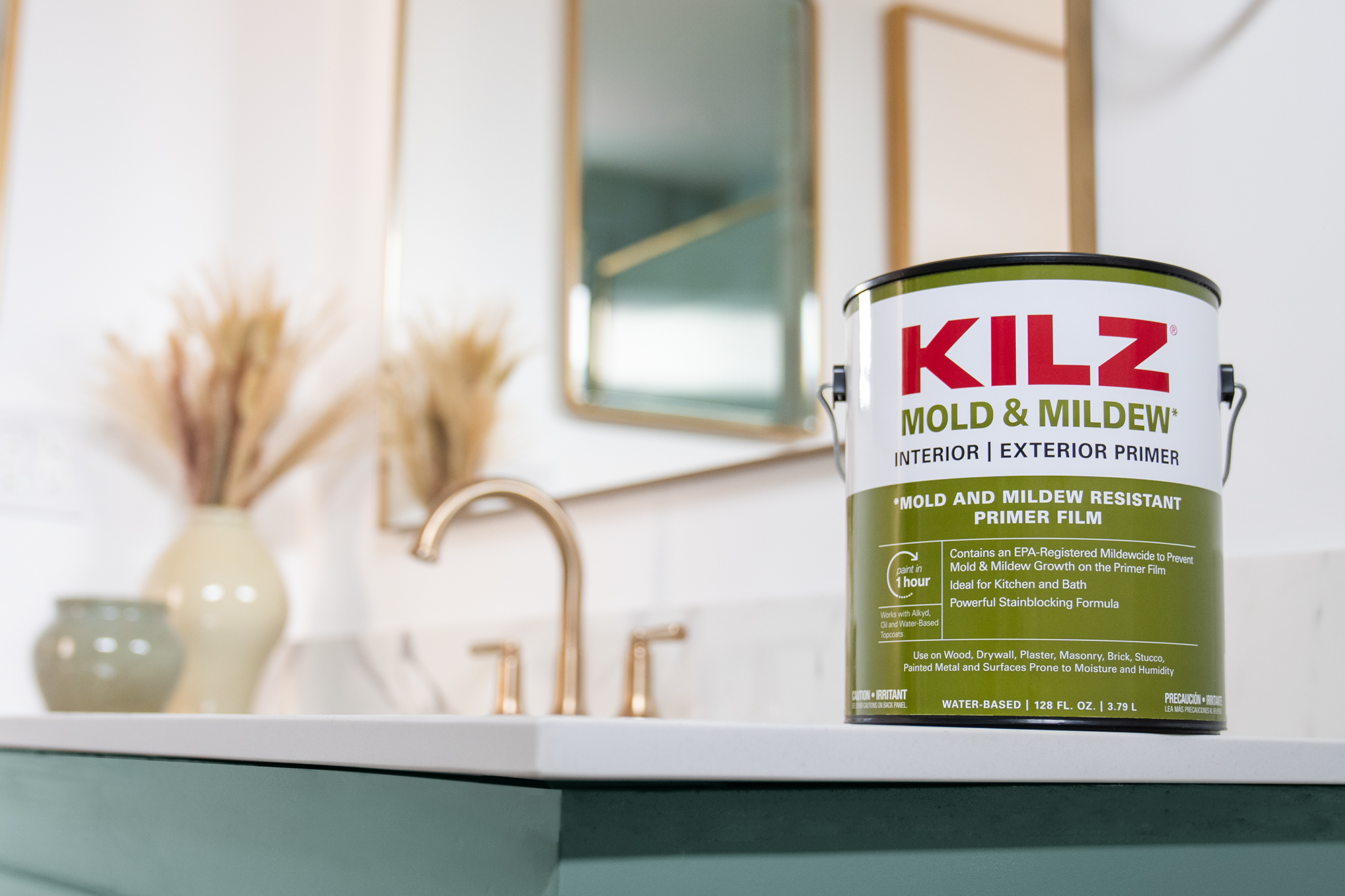 Mold-Resistant Paint: What to Know Before You Buy
